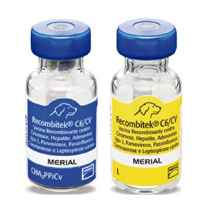 Recombitek C6/CV (V8) – Linavet