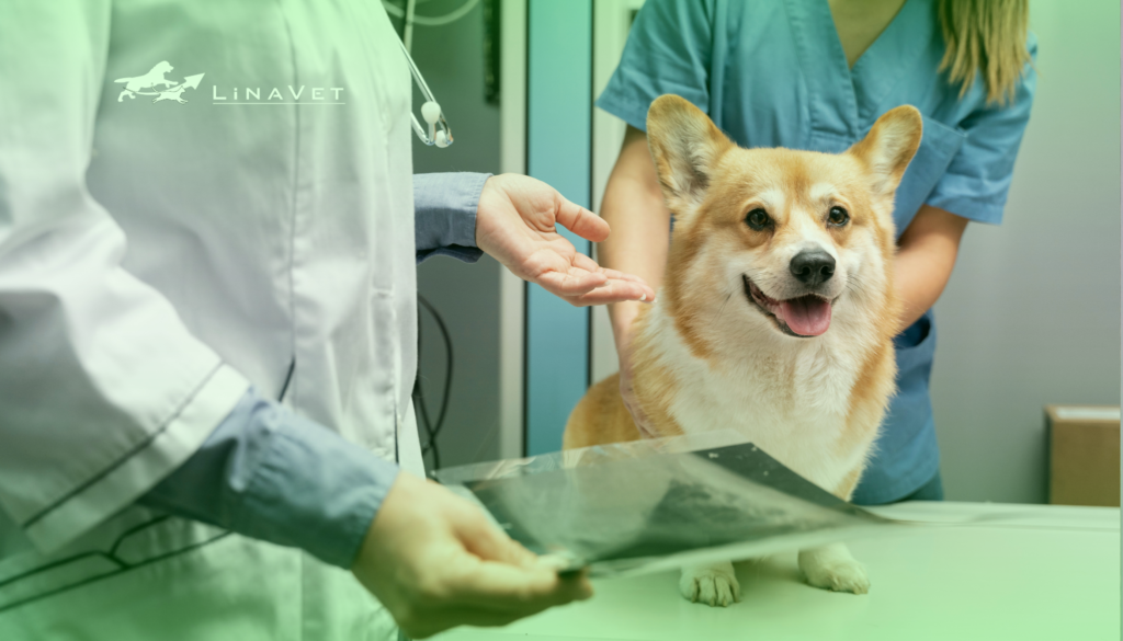 Prevenção e Controle da Leishmaniose Visceral Canina: Atualização para ...